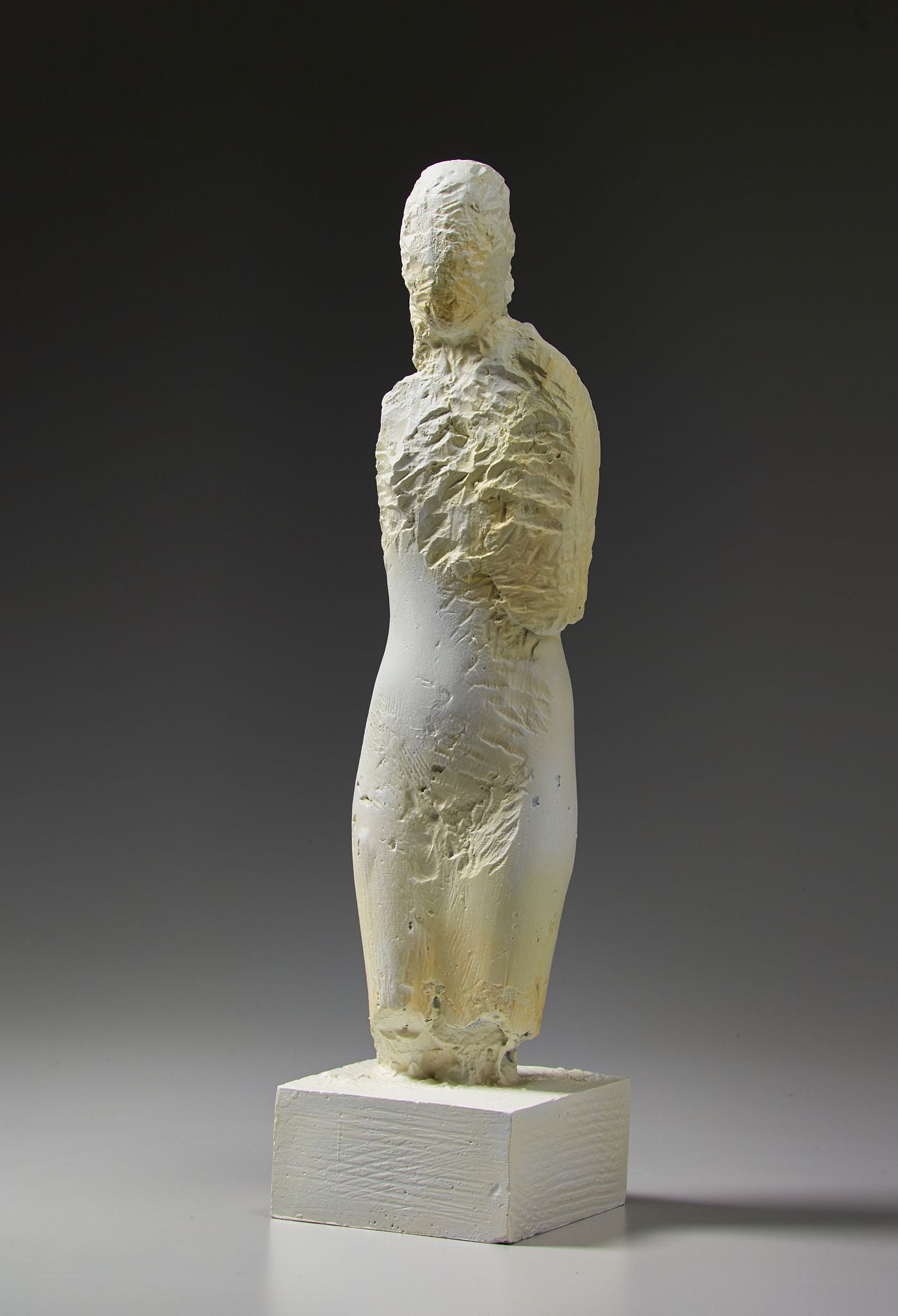 MANUEL NERI | MARY JULIA HEAD 3/4 | Robischon Gallery Web site