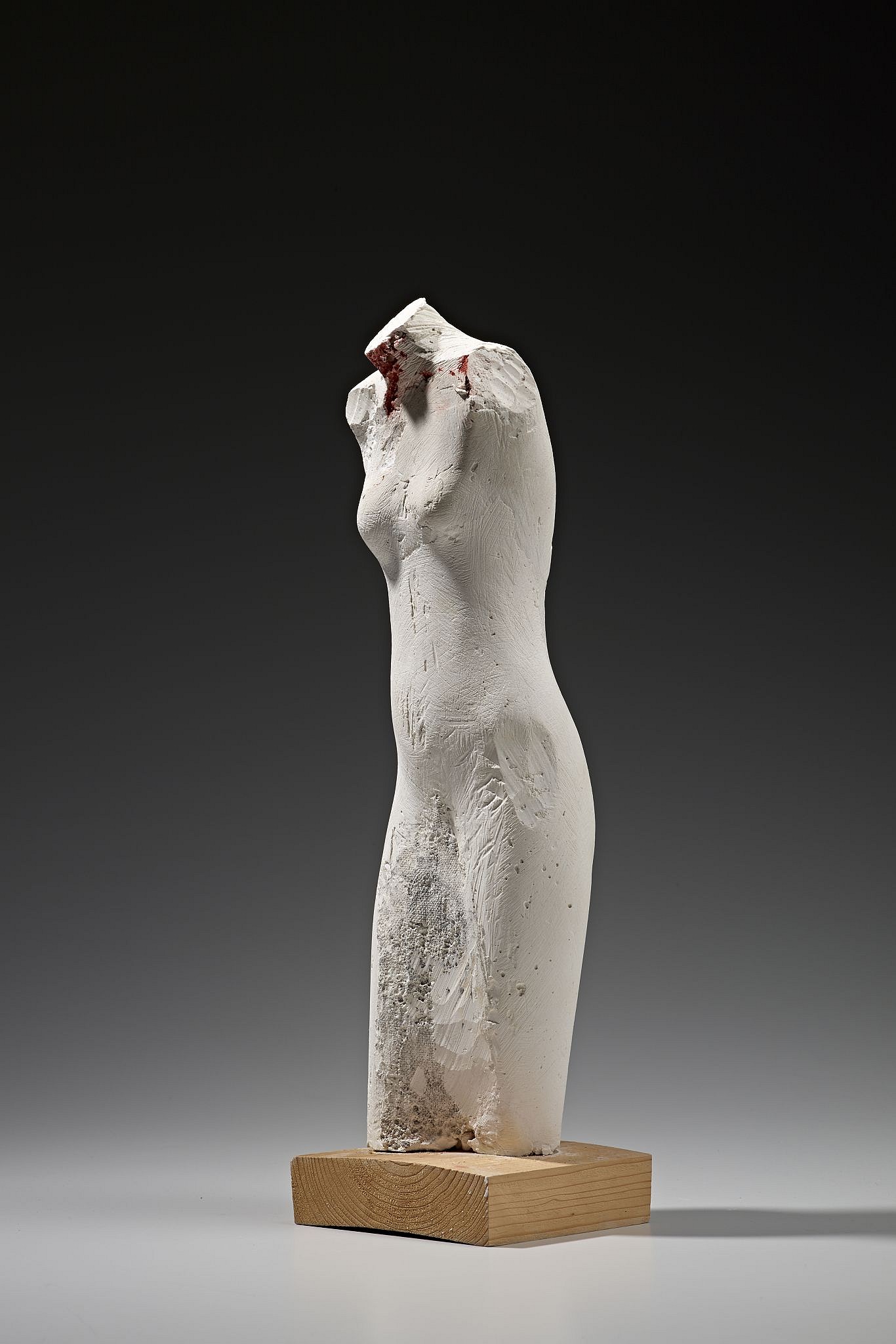 MANUEL NERI | MARY JULIA HEAD 3/4 | Robischon Gallery Web site