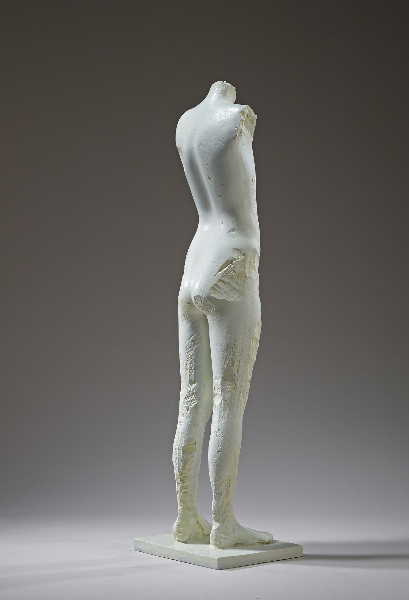 MANUEL NERI | MARY JULIA HEAD 3/4 | Robischon Gallery Web site