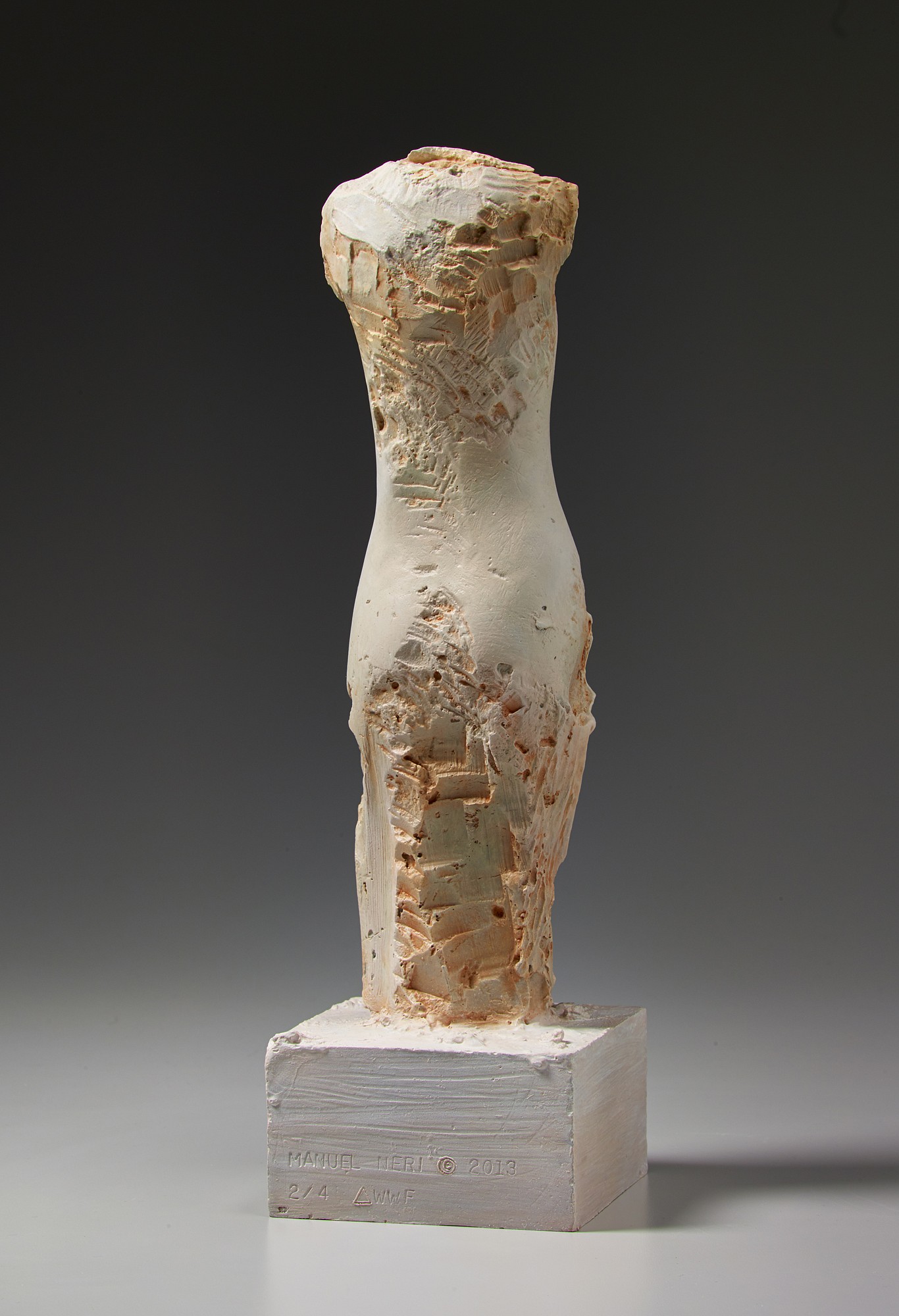 MANUEL NERI | MARY JULIA HEAD 3/4 | Robischon Gallery Web site