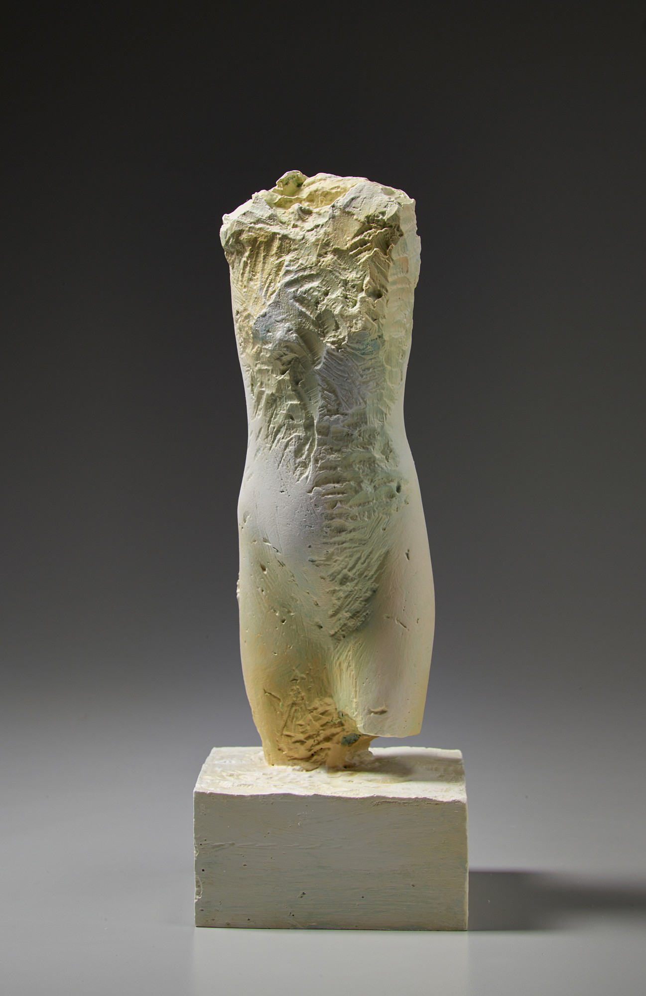 MANUEL NERI | MARY JULIA HEAD 3/4 | Robischon Gallery Web site